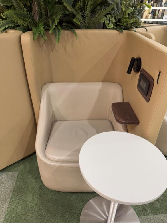 Complete Guide to EVA Air Lounges at TPE: The Star vs The Infinity (2025)