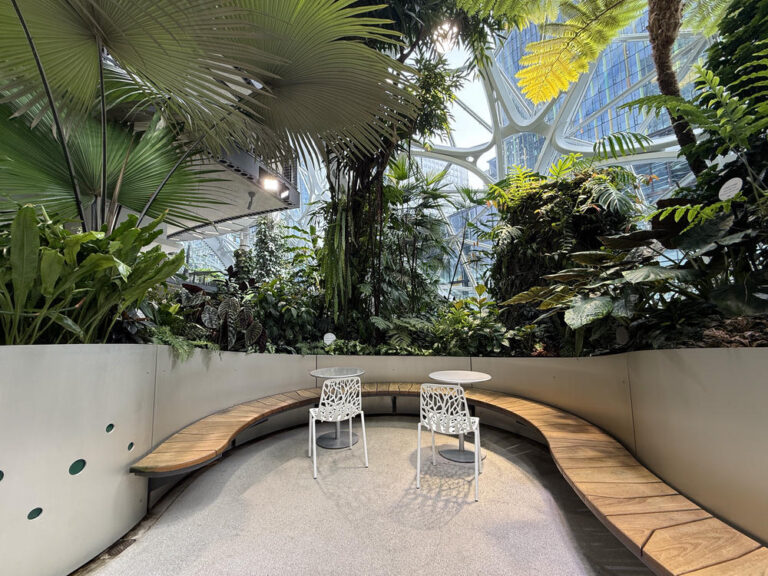 Amazon The Spheres Booking Tips and Visitor Experience in Seattle: A ...
