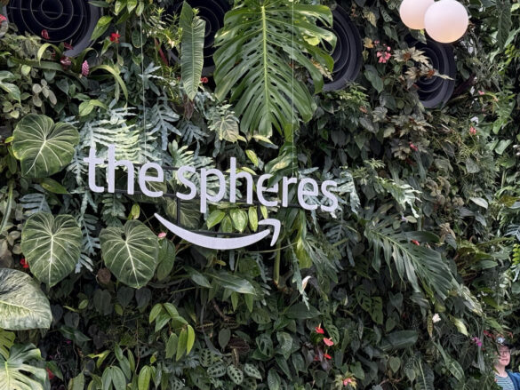 Amazon The Spheres Booking Tips and Visitor Experience in Seattle: A ...